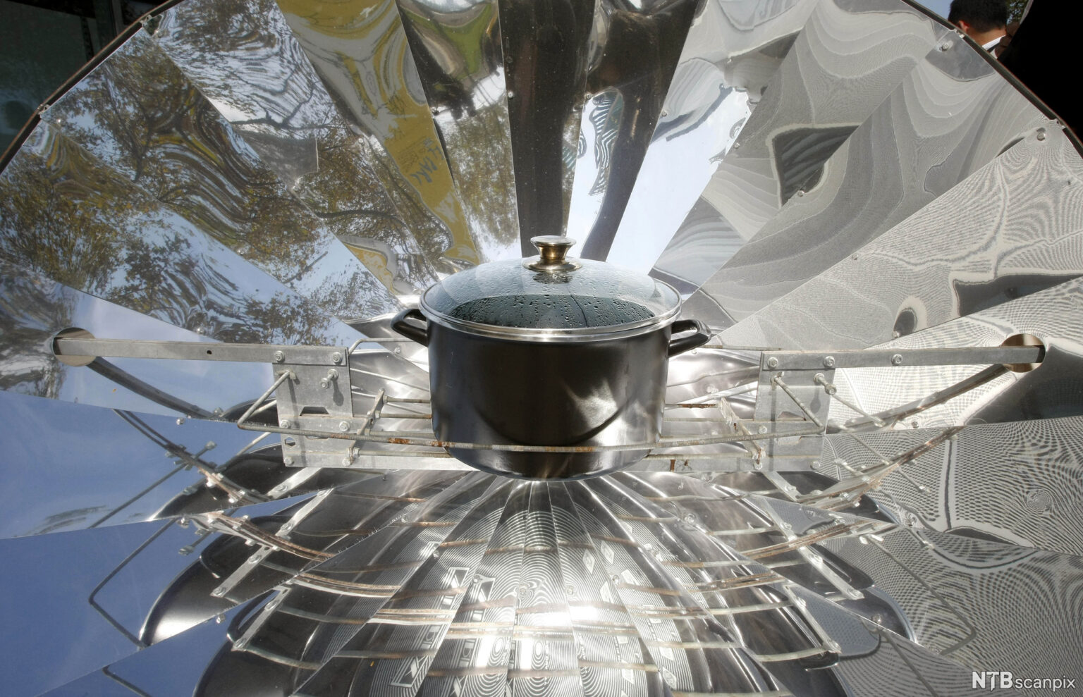 Off-grid Cooking: Solar Oven Delights With Home-grown Ingredients ...